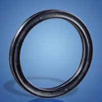 O Rings Singapore | ERIKS