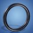 O Rings Singapore | ERIKS